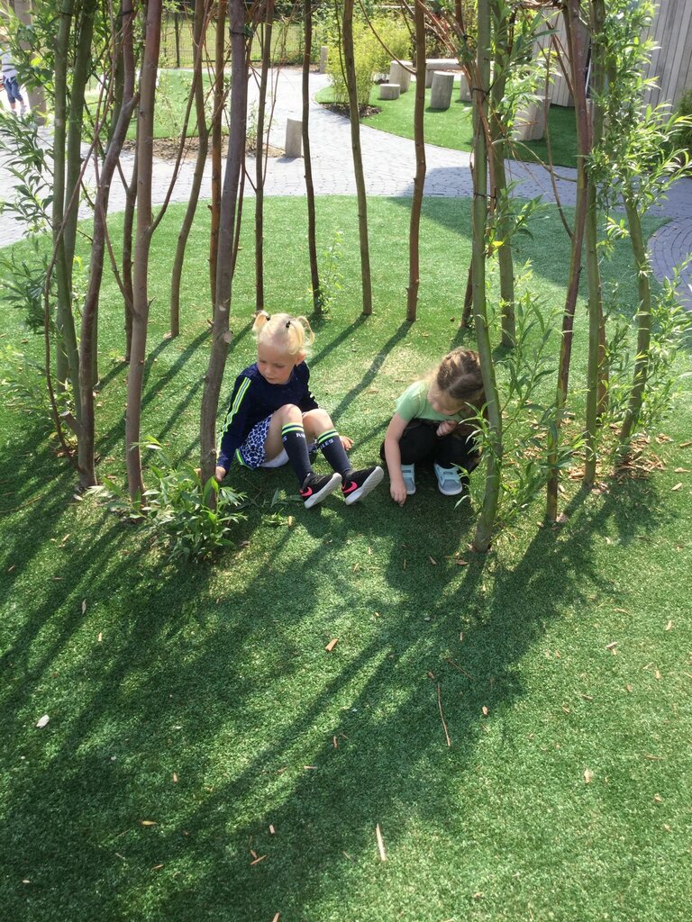 Anaokulları Kindcentrum Groenoord, Dünya, foto