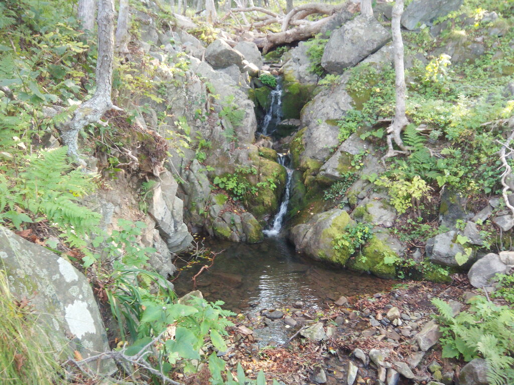 Pınar, çay Spring, stream, Primoriye, foto