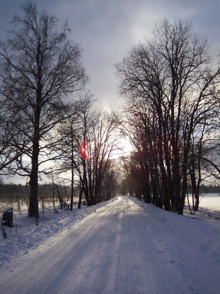 Doğa Въездная аллея усадьбы Власова, Saint‑Petersburg ve Leningradskaya oblastı, foto