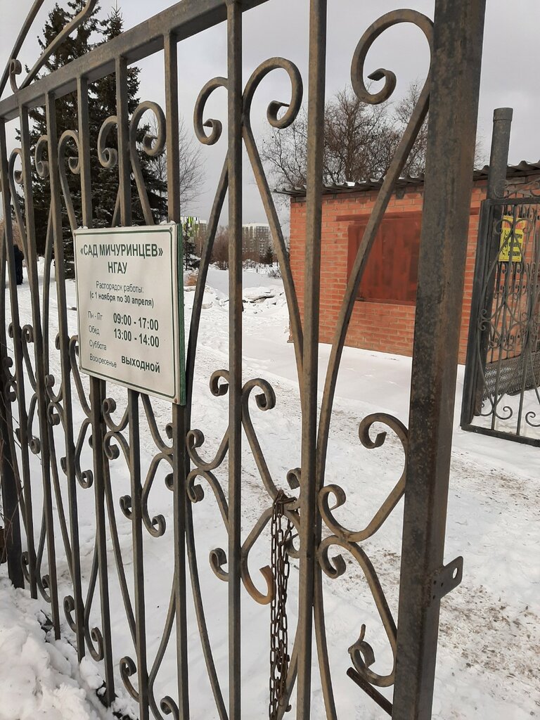 Kültür ve eğlence parkları Сад Мичуринцев, Novosibirsk, foto