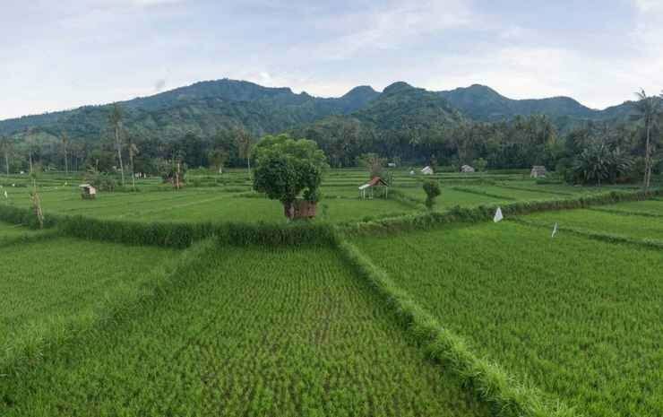 Otel Tanaya Homestay, Bali, foto
