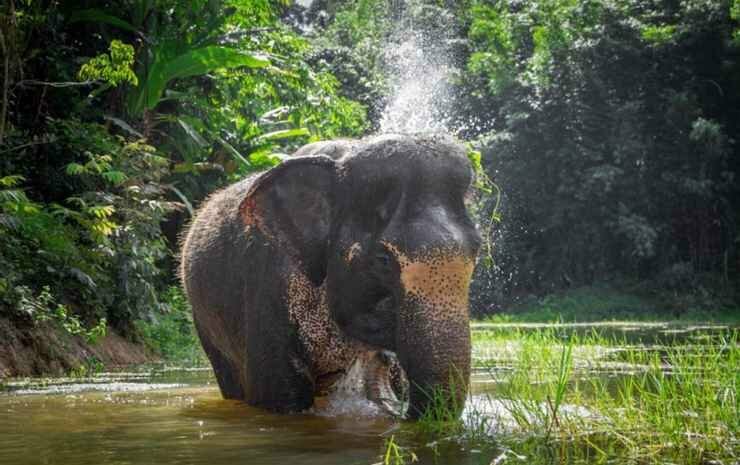Otel Tamarind Villa Phuket, Phuket Eyaleti, foto