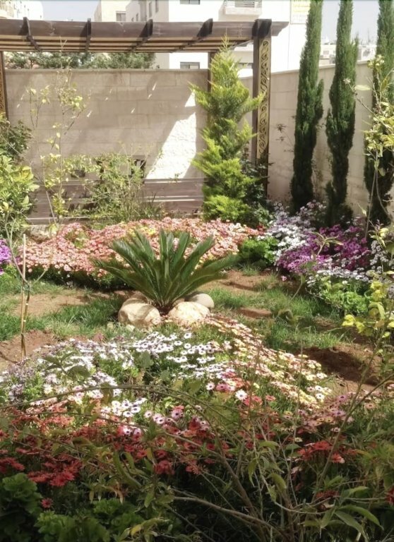 Otel Petra EcoStay, Dünya, foto