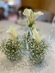 Floristería Sabadell - De Color Verd (Comunidad Autònoma de Cataluña, Provincia de Barcelona, Sant Quirze del Vallès, Sabadell, Avenida Barberà), çiçek teslimatı  Sabadell'den