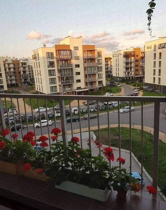 Yeni yerleşim alanlarındaki daireler Otdel prodazh Stolitsa Grupp, Kiev, foto