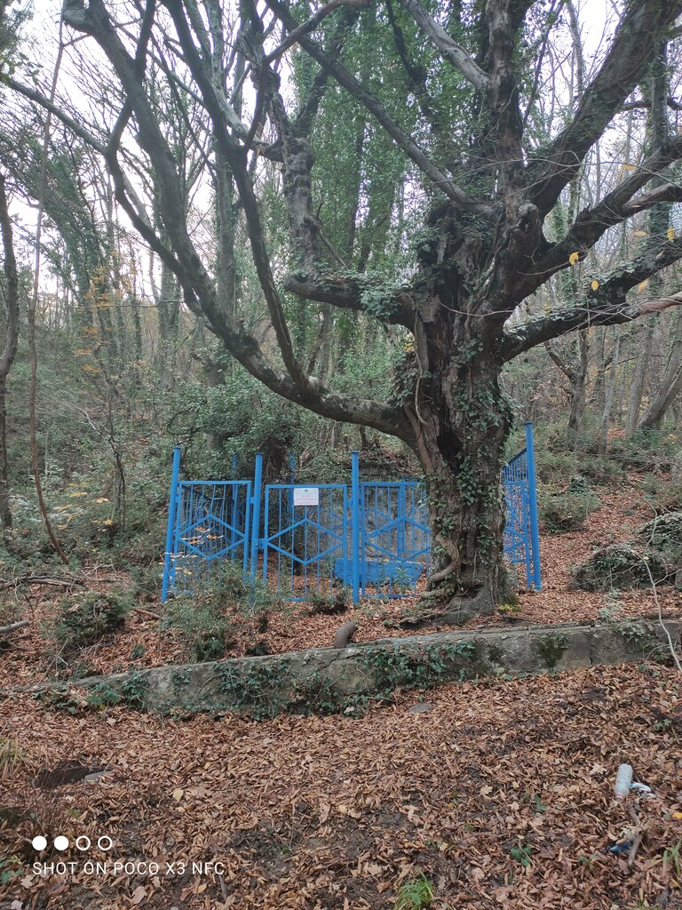 Pınar, çay Spring, stream, Kırım Cumhuriyeti, foto