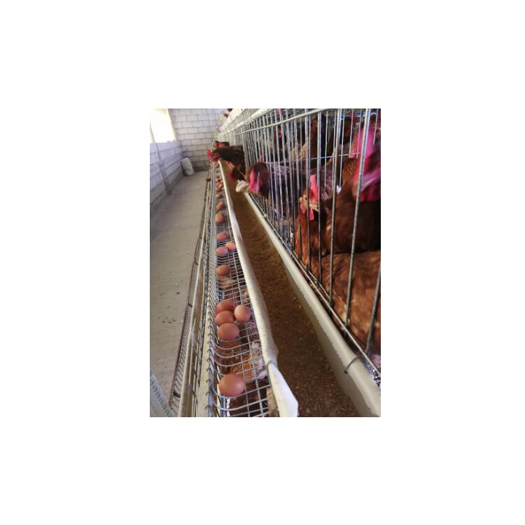 Süpermarket Corporacion Ferriagricola Nacional S. A. S., , foto