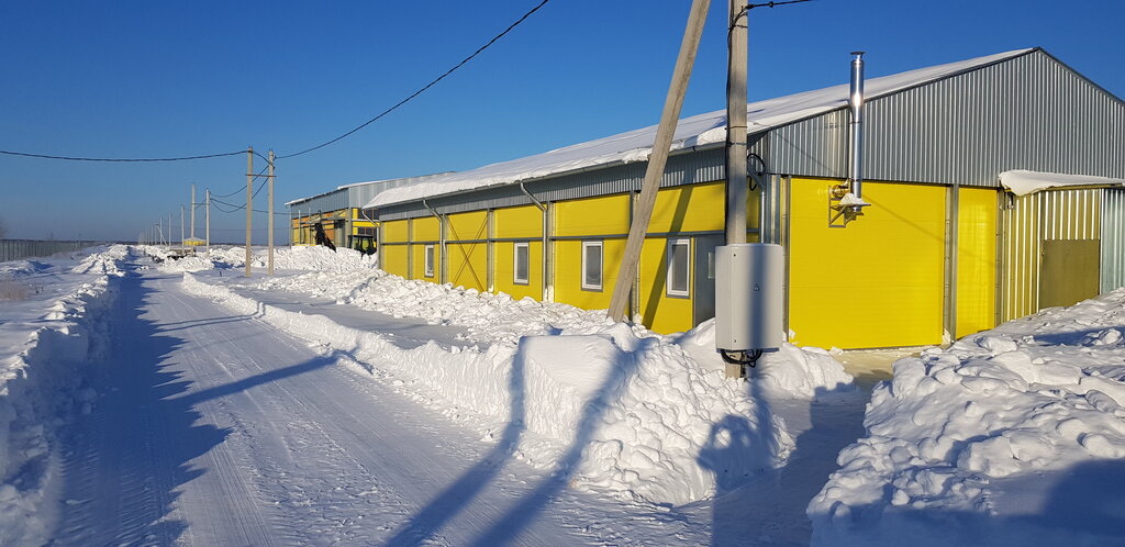Tarım firmaları Yachmenka Farm, İvanovskaya oblastı, foto