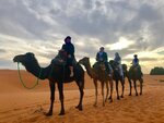 Our Morocco Tours (Marrakech, Marrakesh, Jemaa el-Fnaa Square), seyahat acenteleri  Marakeş'ten
