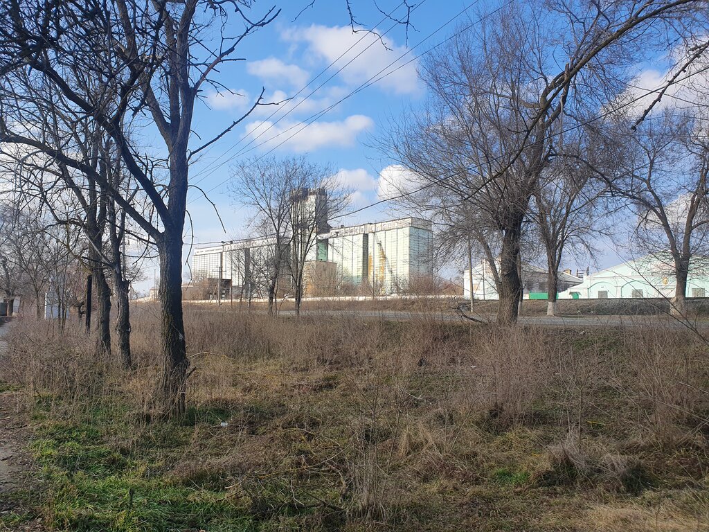 Silo Благодарненский элеватор, Stavropolski krayı, foto