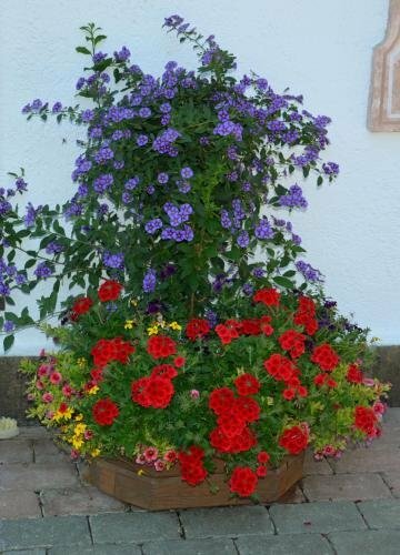 Otel Gästehaus Friedl, Tirol, foto