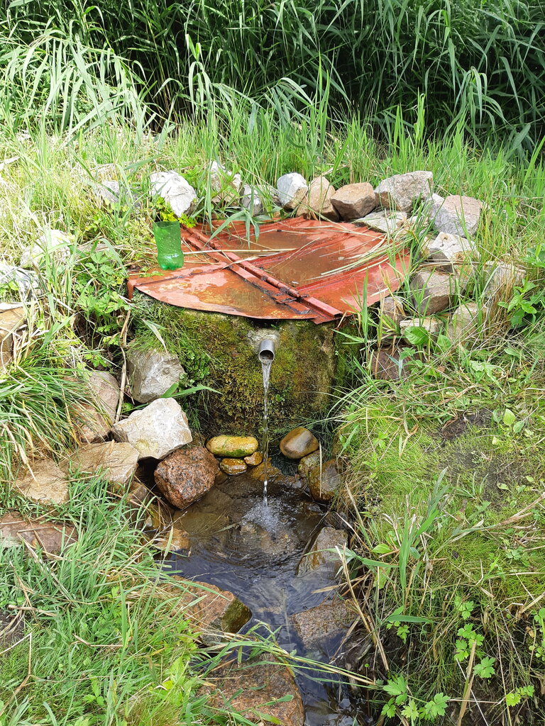 Pınar, çay Spring, stream, Vitebskaya oblastı, foto