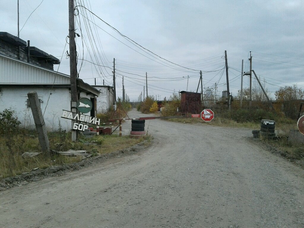 Garajlar Валегин бор, Nijni Tagil, foto