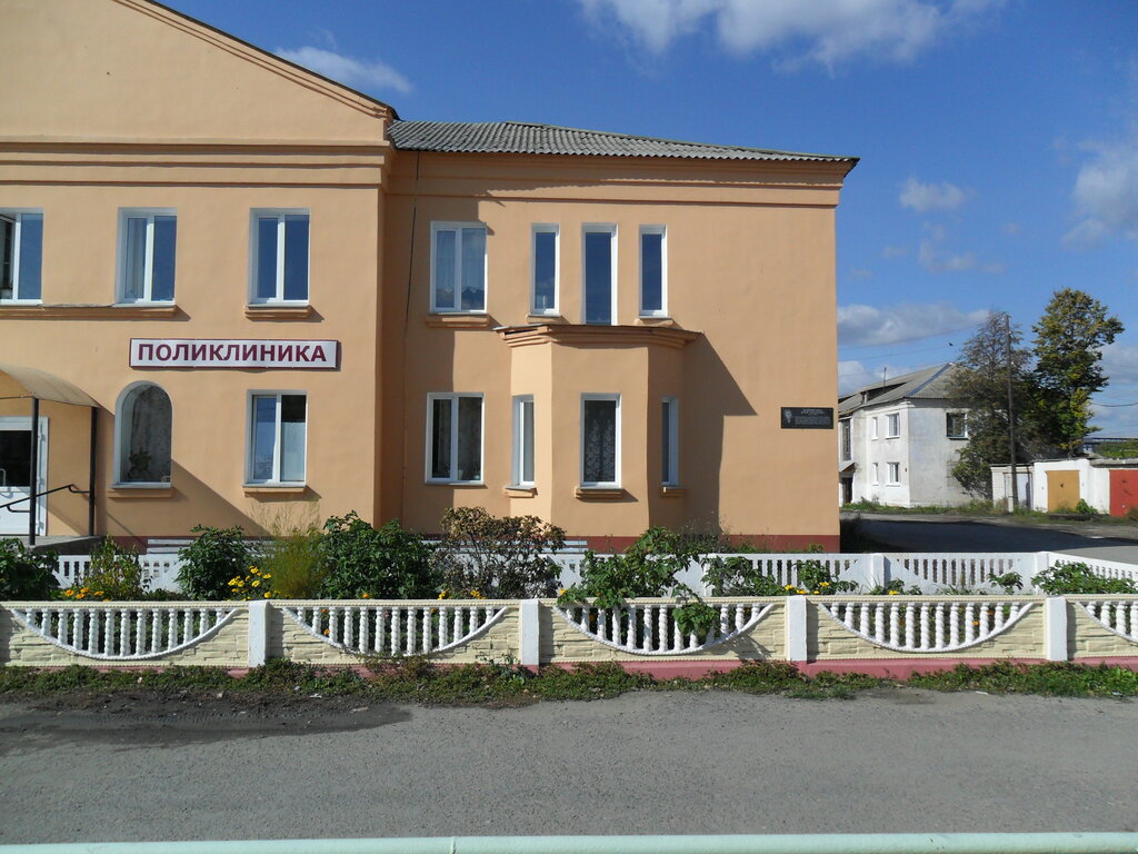 Anıt levhası, anıt taş Министру здравоохранения СССР М.Д. Ковригиной, Kataysk, foto