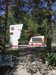 Воинам, павшим в годы Великой Отечественной войны 1941-1945 гг. (Altai Territory, Rubtsovskiy rayon, Rubtsovskiy selsovet, poselok Zelyonaya Dubrava, Topolnaya ulitsa), anıt, heykel  Altayski krayından