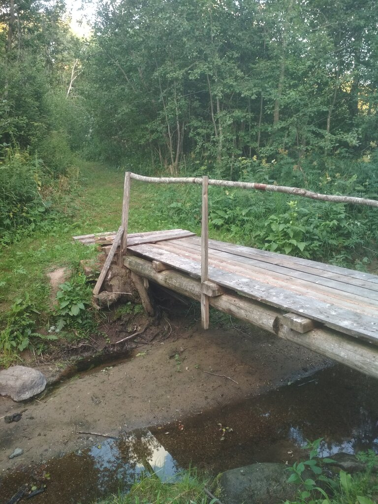 Pınar, çay Spring, stream, Vologodskaya oblastı, foto
