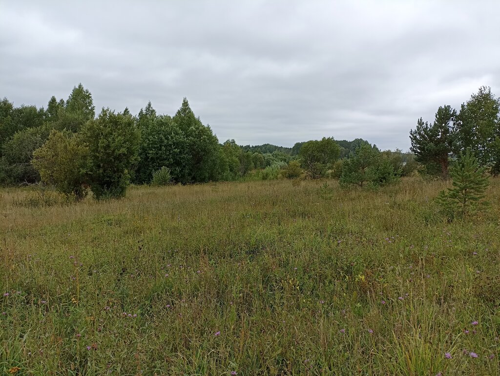 Pınar, çay Spring, stream, Vologodskaya oblastı, foto