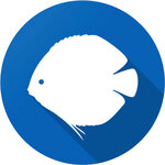 Aquasalon Discus (Spartakovskaya Street No:88Б), akvaryumlar  Kazan'dan