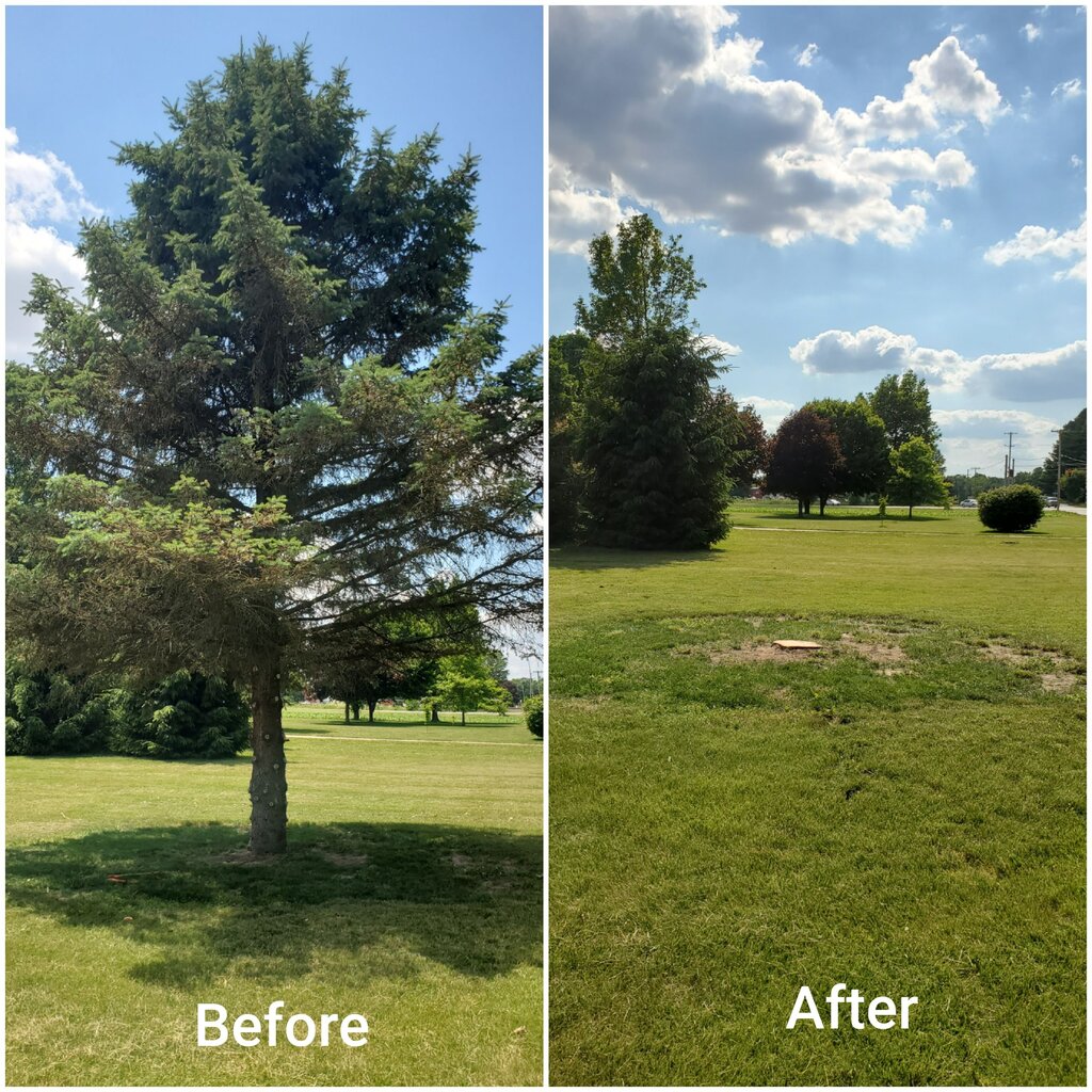 Bahçe ekipmanları ve teknolojileri Lines Landscaping - Anderson - Carmel - Pendleton, İndiana Eyaleti, foto