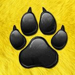 Шустрик груминг стрижка собак (Kursk District, Tsentralny okrug, Shkolnaya ulitsa, 5к15), evcil hayvan kuaförleri  Kursk'tan