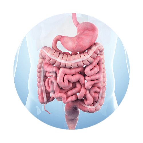 Tıp merkezleri ve klinikler Unidad De Gastroenterologia Y Coloproctologia, Cuernavaca, foto