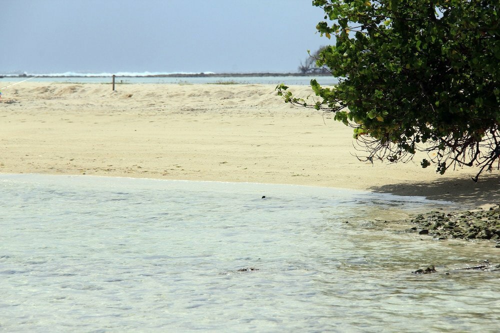 Otel Rip Tide Beach, , foto