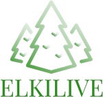 Elkilive (Morskaya Embankment No:28, Saint Petersburg), çam ağacı pazarı  Saint‑Petersburg'dan
