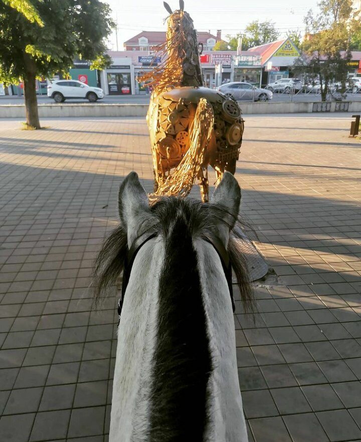 Park, sokak heykeli Механическая кобыла, Krasnodar, foto
