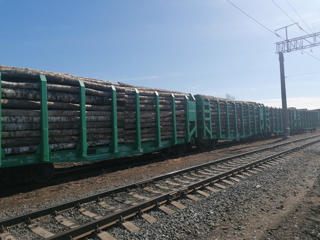 Kerestecilik, ağaç satışı Avstrofor, Vologda, foto