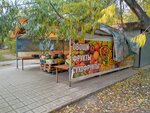 Ovoshchnoy magazin (ulitsa Vagnera No:86), manavlar  Çeliabinsk'ten