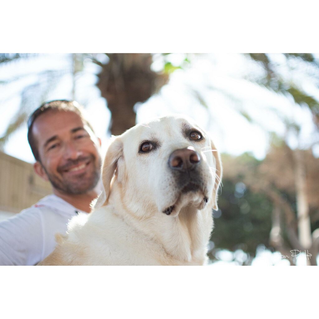 Turizm danışma büroları Pet Excellent Treatment, Kanarya Adaları, foto