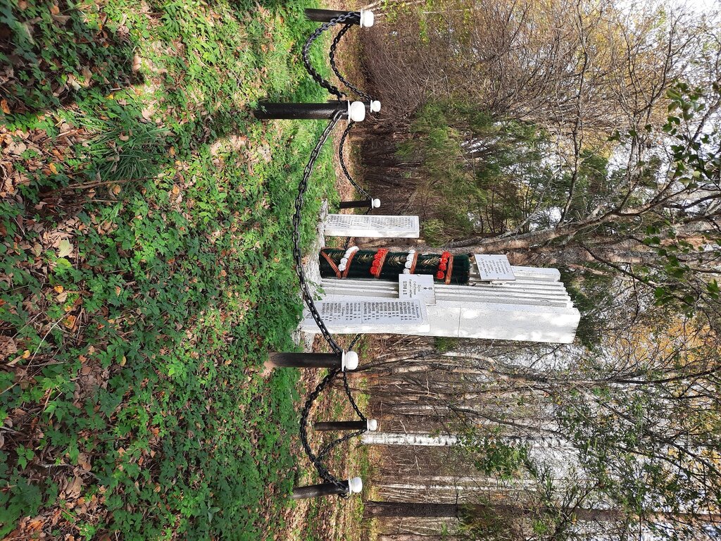 Anıt levhası, anıt taş Герою Советского Союза Д.Н. Петрову, Novgorodskaya oblastı, foto