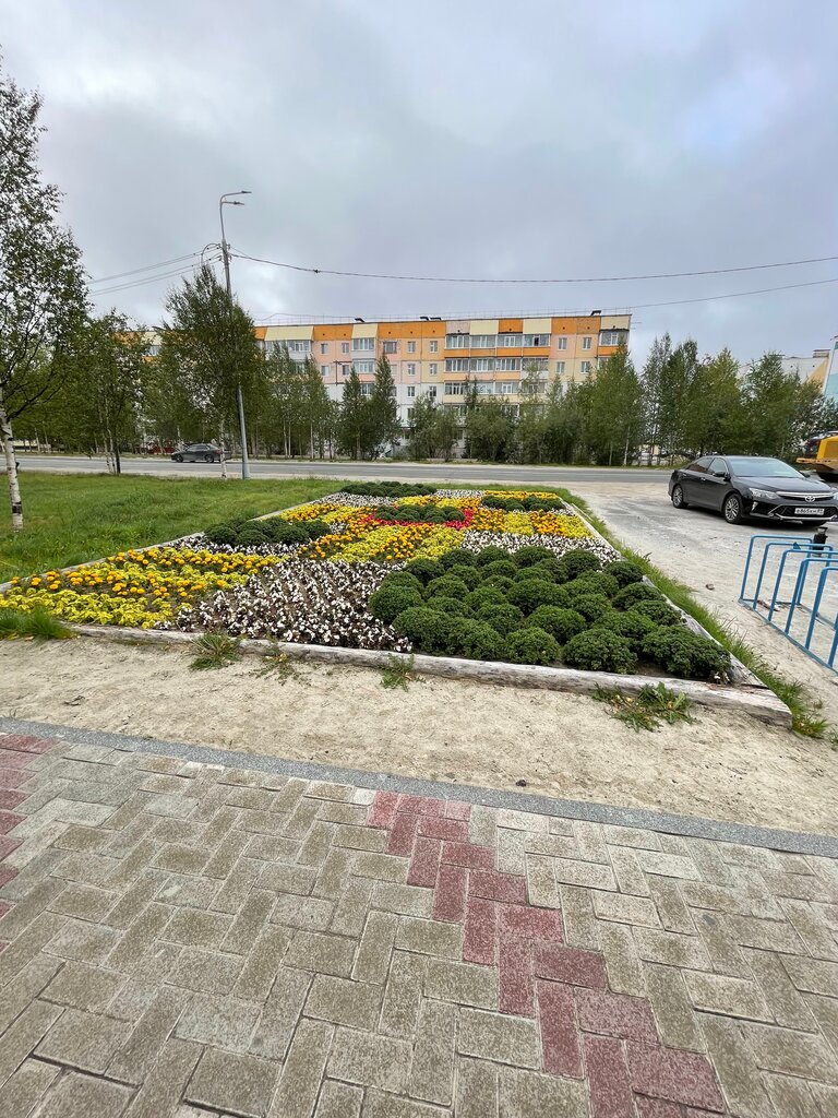 Sera ve bahçe ürünleri Ноябрьский садовый центр, Yamal‑Nenets Özerk Bölgesi, foto
