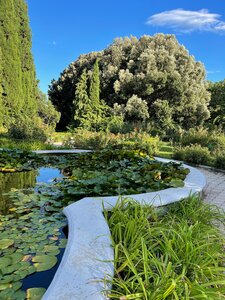 Зелёный лабиринт (Autonomous Republic of Crimea, Yaltinskiy gorodskoy sovet, Nikitskiy Botanical Garden), lunapark  Kırım Cumhuriyeti'nden