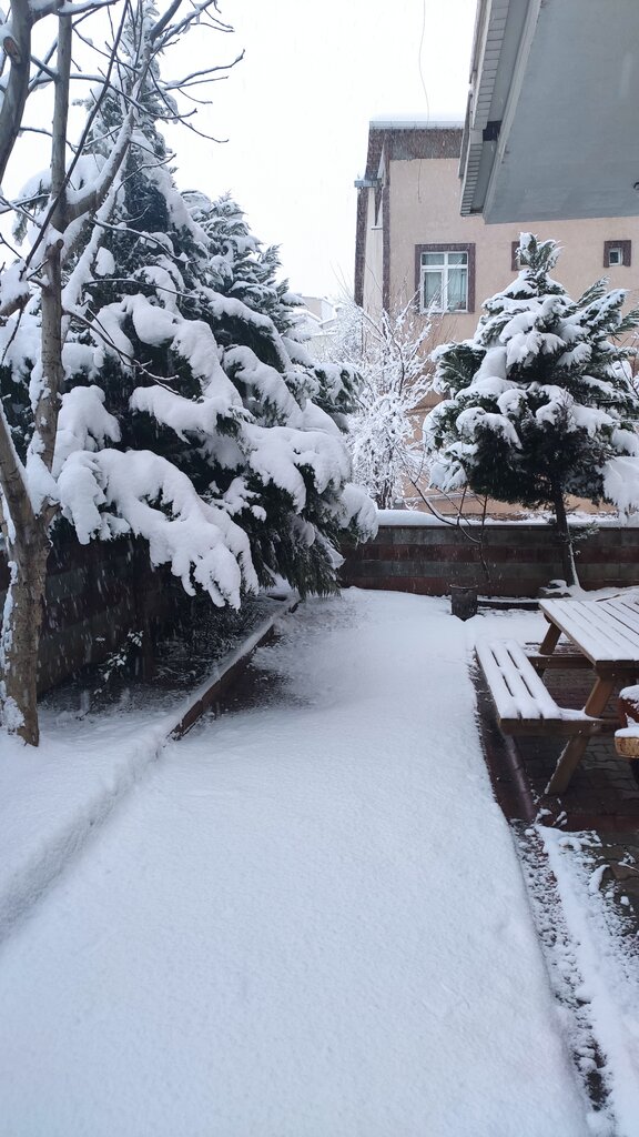 Kereste üretim ve satış şirketleri Derin Orman Ürünleri ve Ağaç, İstanbul, foto