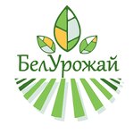 Belurozhai (Minskaja shasha No:2Ж), tohum satan yerler  Moguilev'den