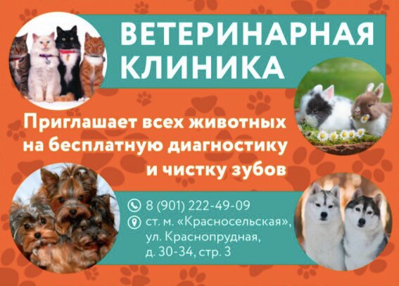 Veteriner klinikleri Ветклинцентр, Moskova, foto