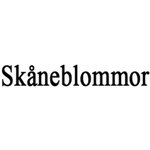 Skåne Blommor Ab - Sigurd Lewerentz Flower Shop (Scheelegatan No:38), çiçekçiler  Malmö'den