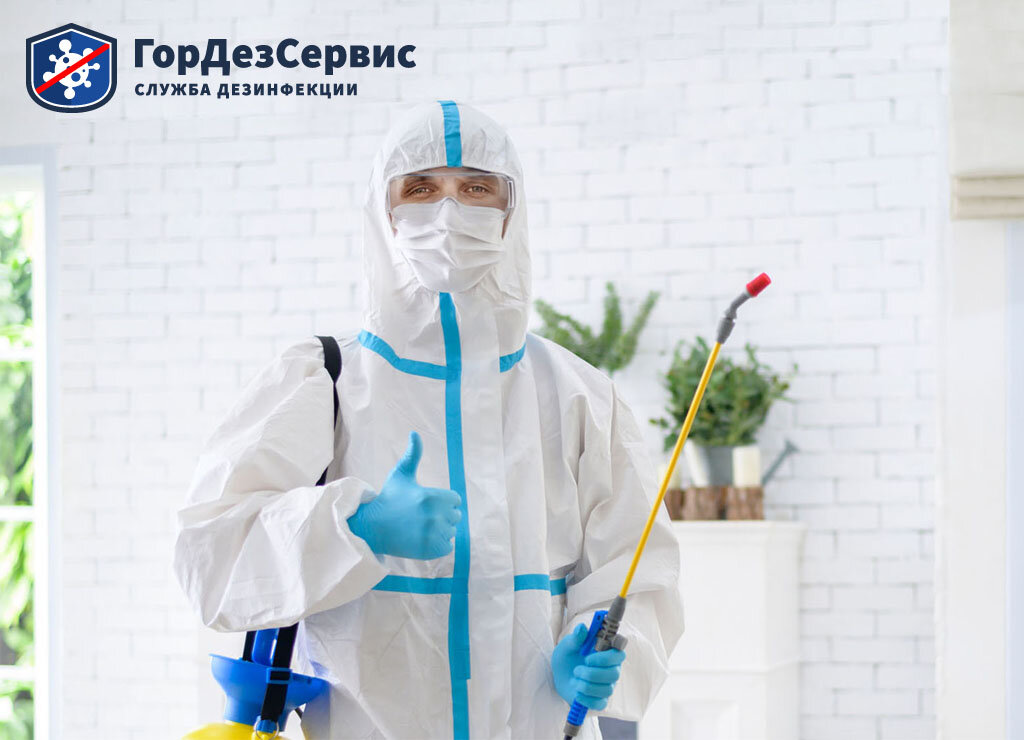 Haşere ilaçlama firmaları GorDezServis, Belgorod, foto