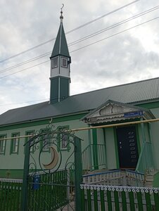 Мечеть (ulitsa Mira No:2, selo Nizhneye Alkeyevo), cami  Tataristan'dan