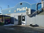 Магазин рыбы и морепродуктов (Pobedy Square No:6к3), balık ve deniz ürünleri  Lipetsk'ten