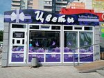 Kaktus (Mira Avenue No:100), çiçekçiler  Omsk'tan