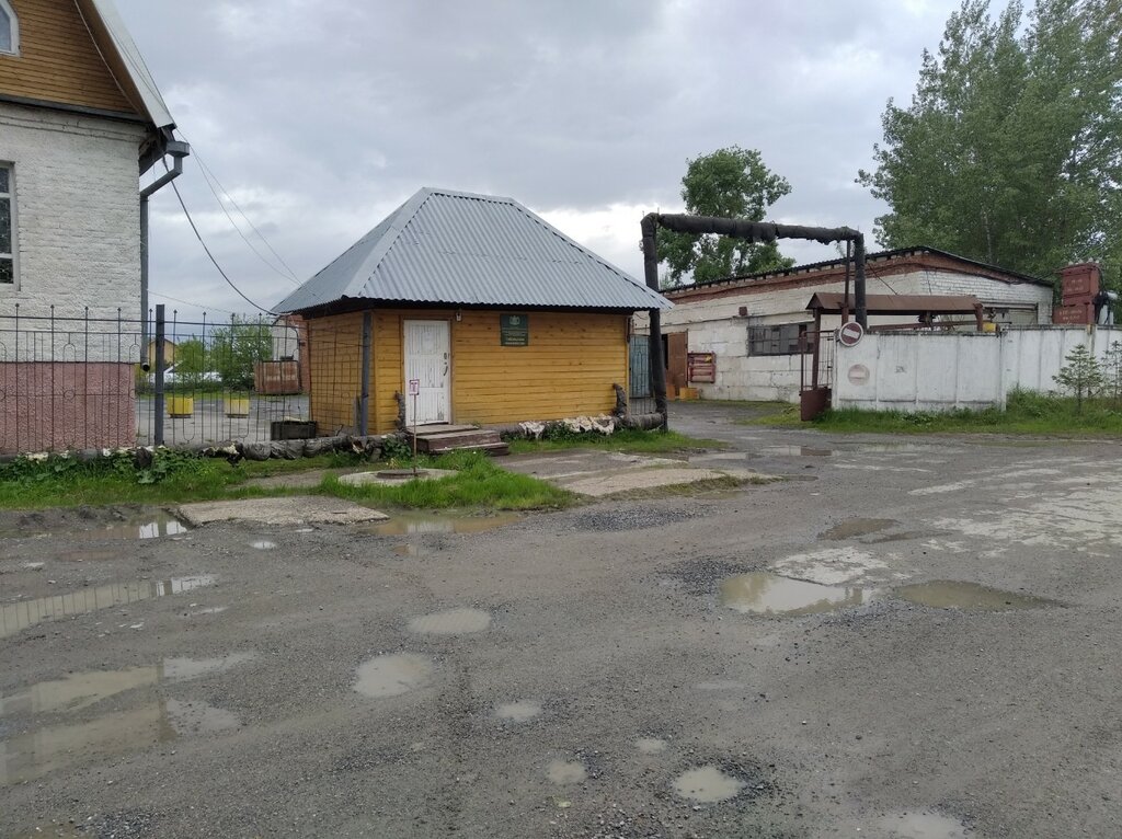 Orman işleri Lesnichestvo Guto Tyumenskoye upravleniye lesami, Tobolsk, foto