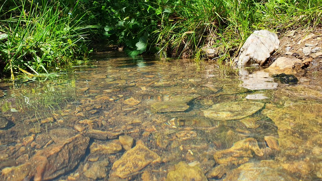 Pınar, çay Spring, stream, Başkurdistan, foto