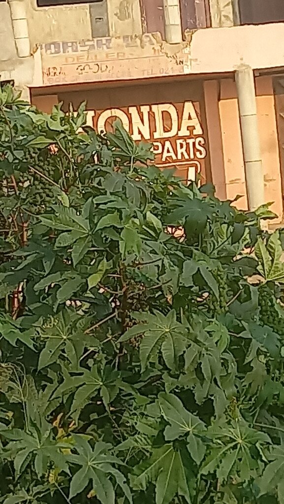 Otomobil yedek parçaları Porsh lady ventures, Akra, foto