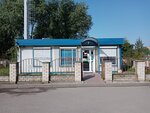 Supermarket (Kaliningrad Region, Guryevskiy munitsipalny okrug, posyolok Vasilkovo, Okruzhnaya ulitsa), market  Kaliningradskaya oblastından