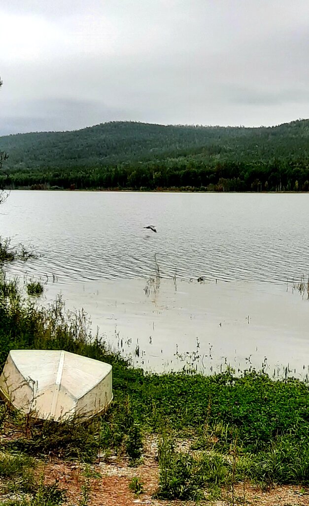 Resort oteller, tesisler ЖАРОК, Bratsk, foto