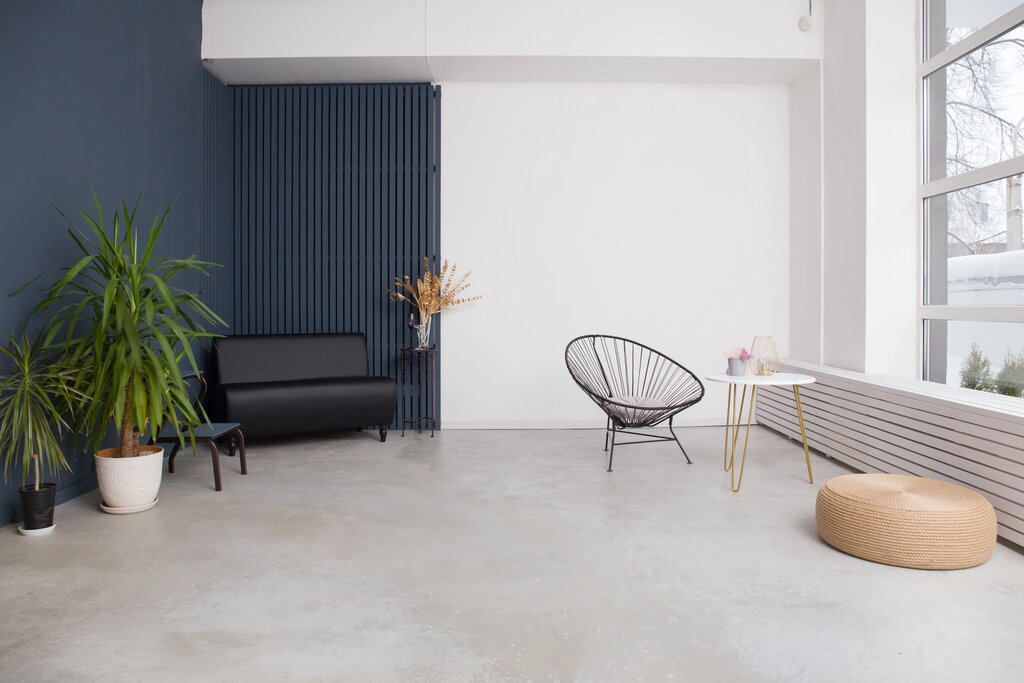 Profesyonel fotoğraf stüdyosu Два кота, Yaroslavl, foto