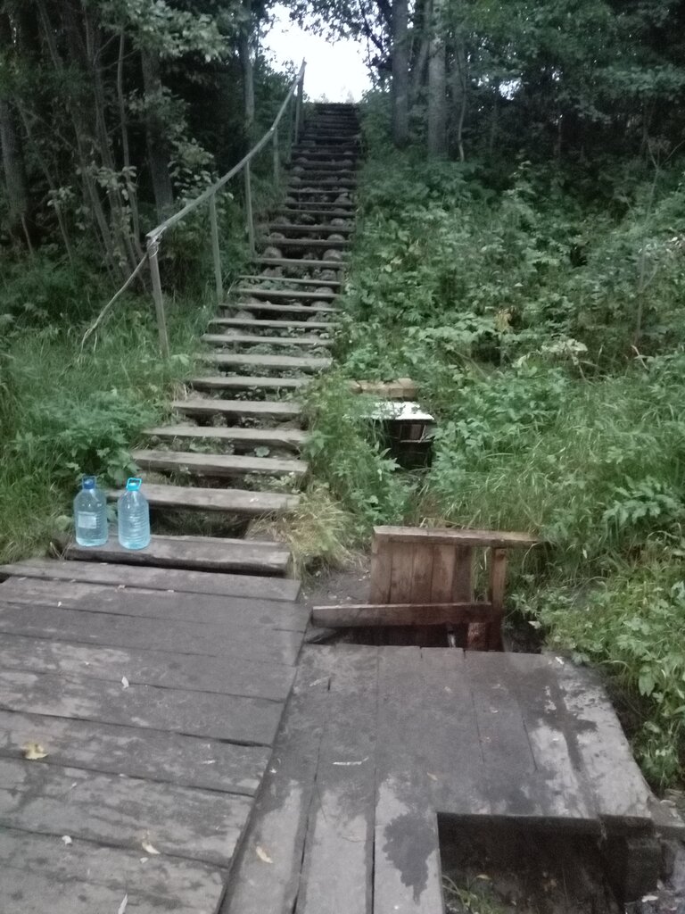 Pınar, çay Spring, stream, Arhangelskaya oblastı, foto