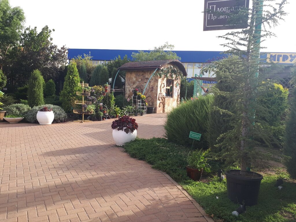 Diğer gişeler Касса, Stavropolski krayı, foto
